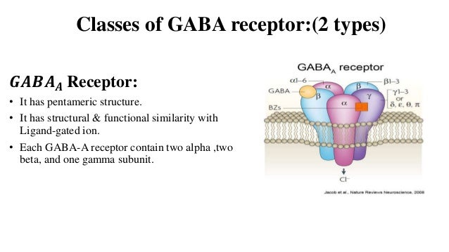 GABA