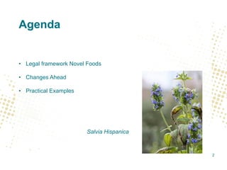 141023 novel foods for food expo | PDF