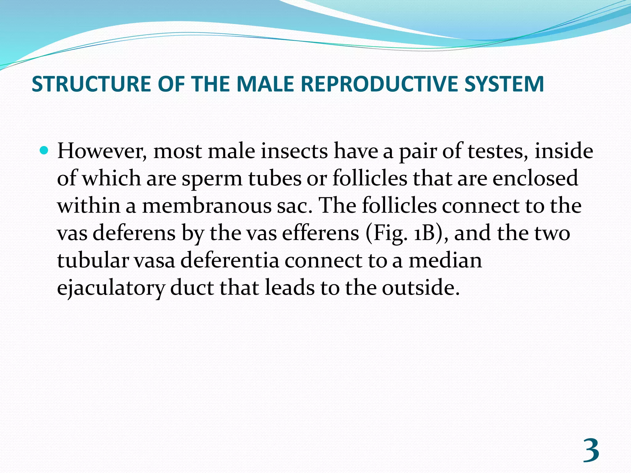 Reproductive system of insects | PPTX
