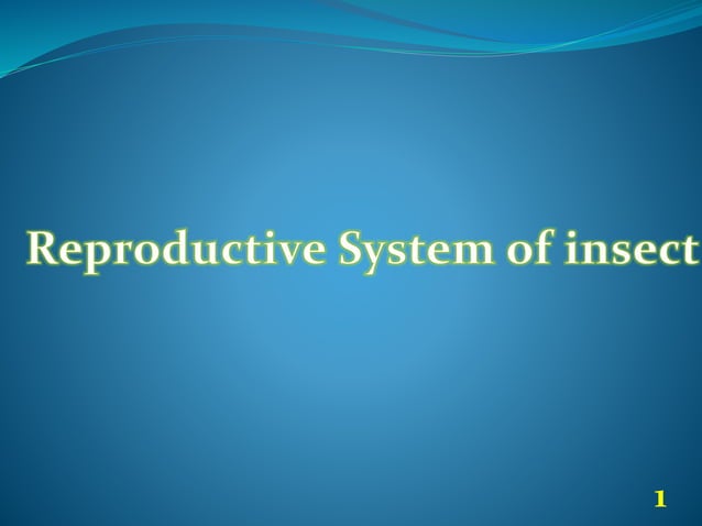 Reproductive system of insects | PPTX | Infertility | Reproductive Health