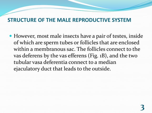 Reproductive system of insects | PPTX | Infertility | Reproductive Health