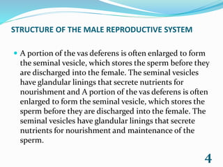 Reproductive system of insects | PPTX