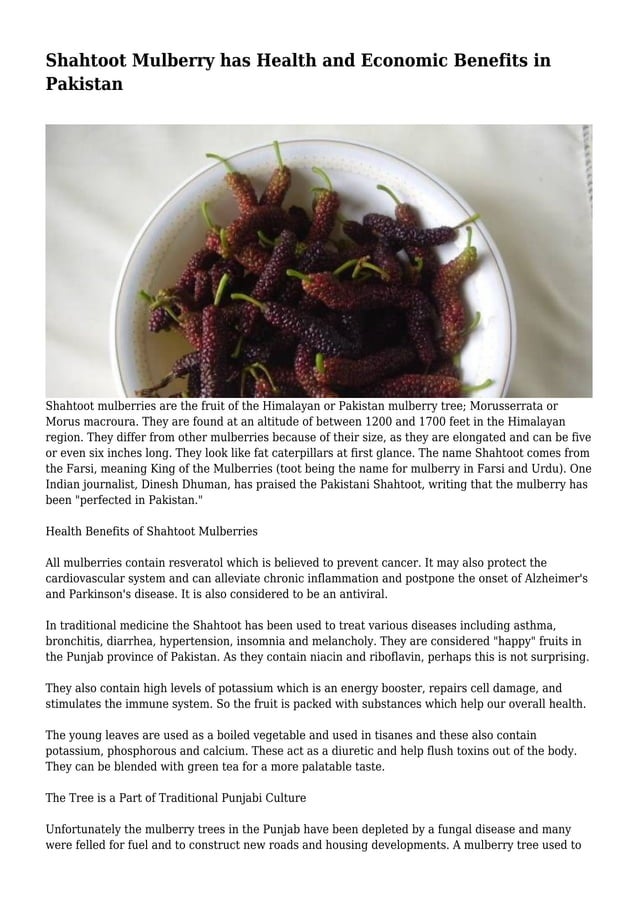 Shahtoot Mulberry has Health and Economic Benefits in Pakistan | PDF