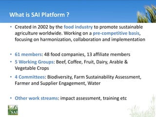 Brian Lindsay - Beefing Up Sustainability – The Journey of the SAI ...