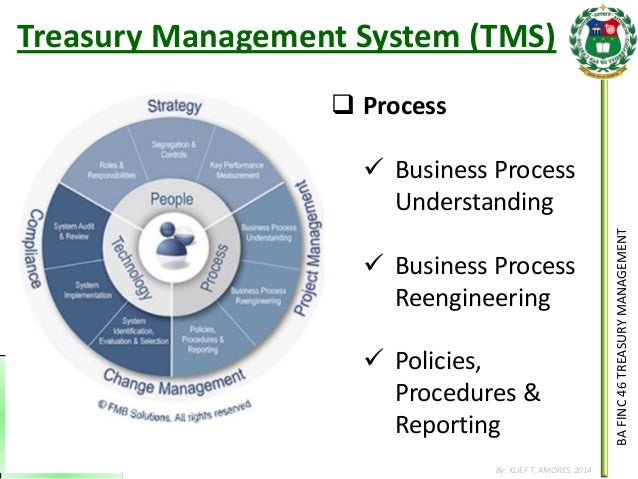 141117 chapter 1. treasury management