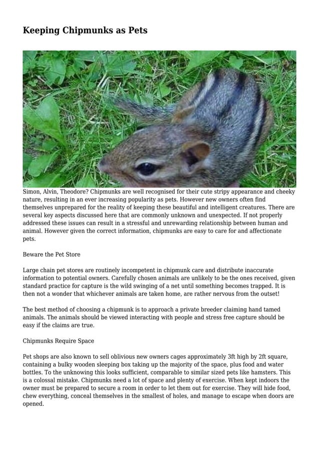 Keeping Chipmunks as Pets | PDF
