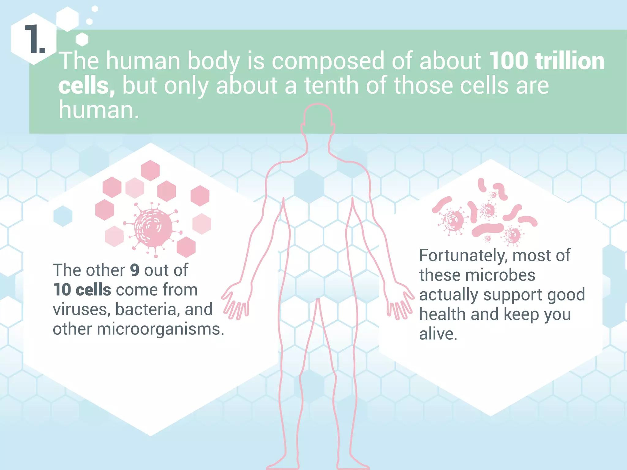 10 Crazy Facts About Life Science | PPT