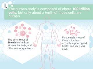 Cool Facts About Life