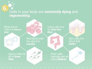 Interesting Facts About Life