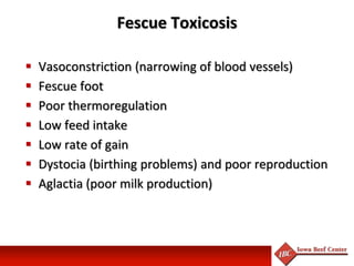 Joe Sellers, Dr. Scott Flynn - Fescue Toxicosis in Beef Cattle ...
