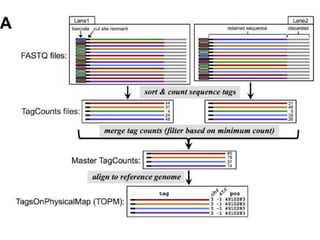 GBS: Genotyping by sequencing | PPT
