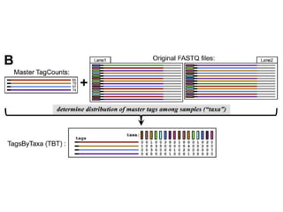 GBS: Genotyping by sequencing | PPT