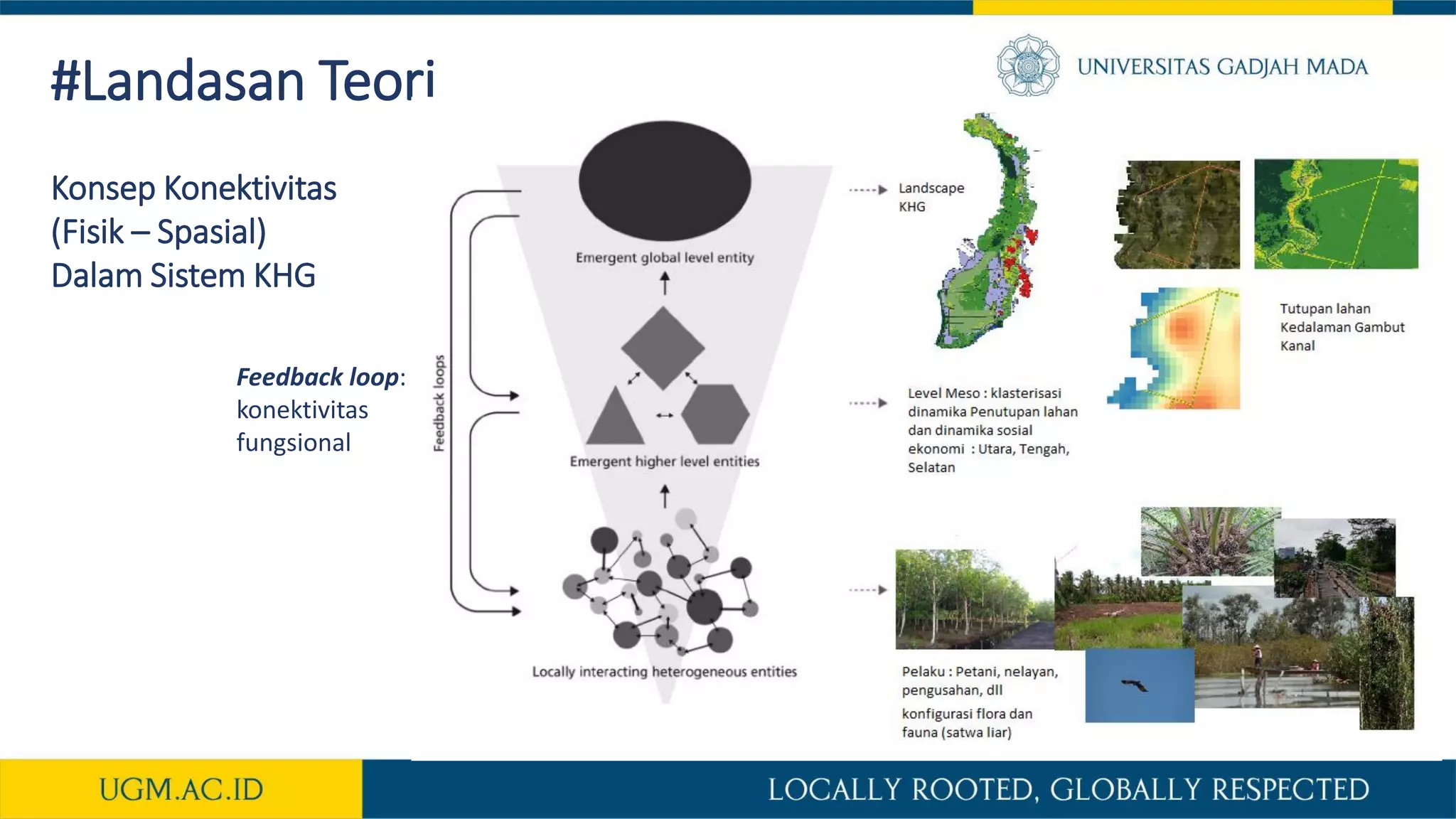 Kajian konektivitas sistem lindung dan budidaya gambut dalam rangka pengelolaan yang ...