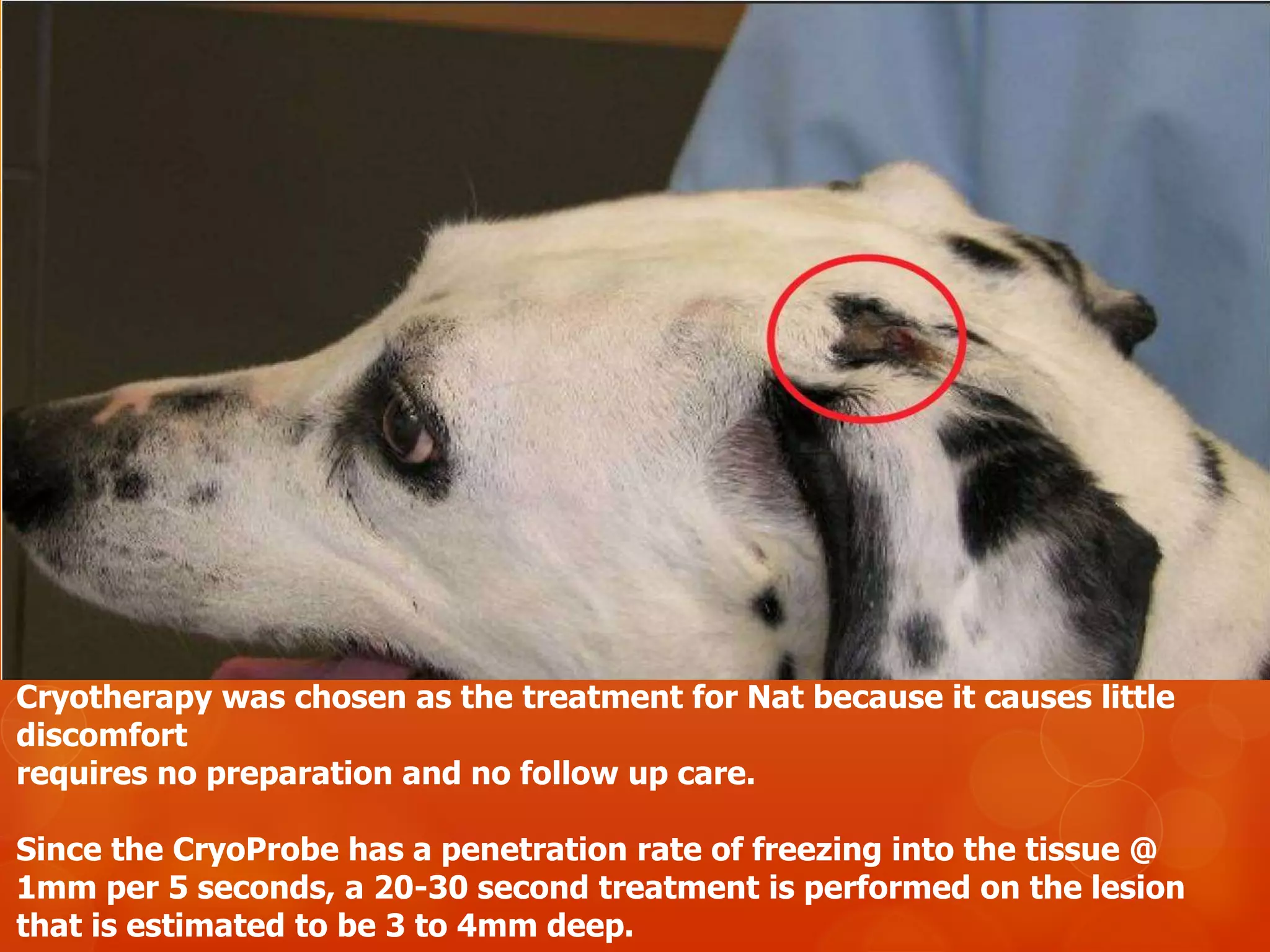 CRYOSURGERY BY DR SUCHITRA SURYAVANSHIPATIL | PPTX