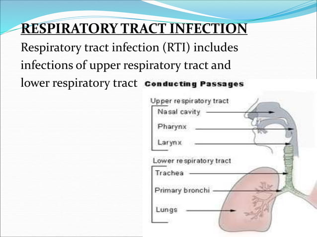 141363130-respiratory-tract-infection.ppt