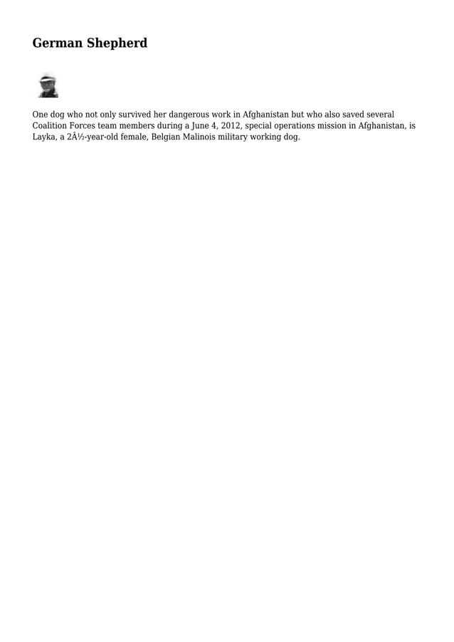 German Shepherd | PDF