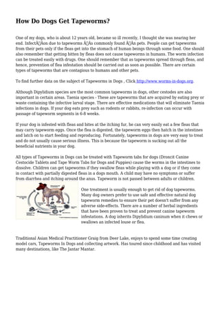 How Do Dogs Get Tapeworms? | PDF