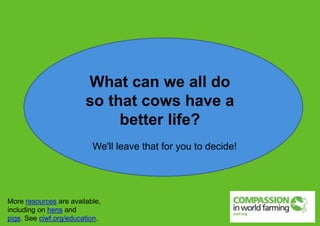 141438_primary-powerpoint-dairy-cows.pptx | Vegan Diets | Food & Drink