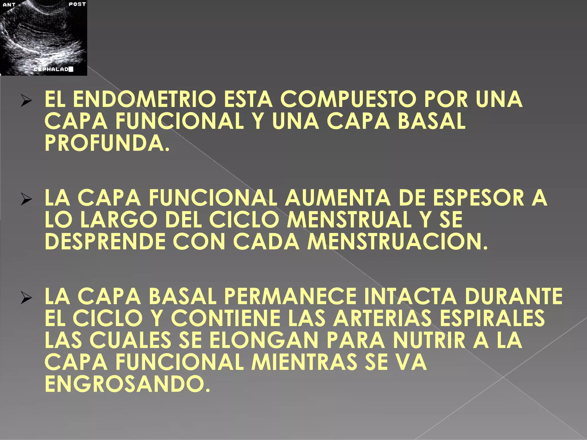 Ecografía del Endometrio | PDF