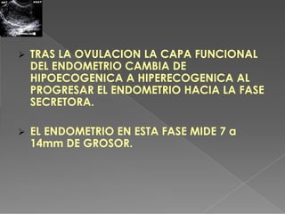 Ecografía del Endometrio | PDF