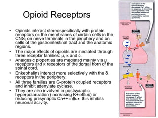 webopioids | PPT