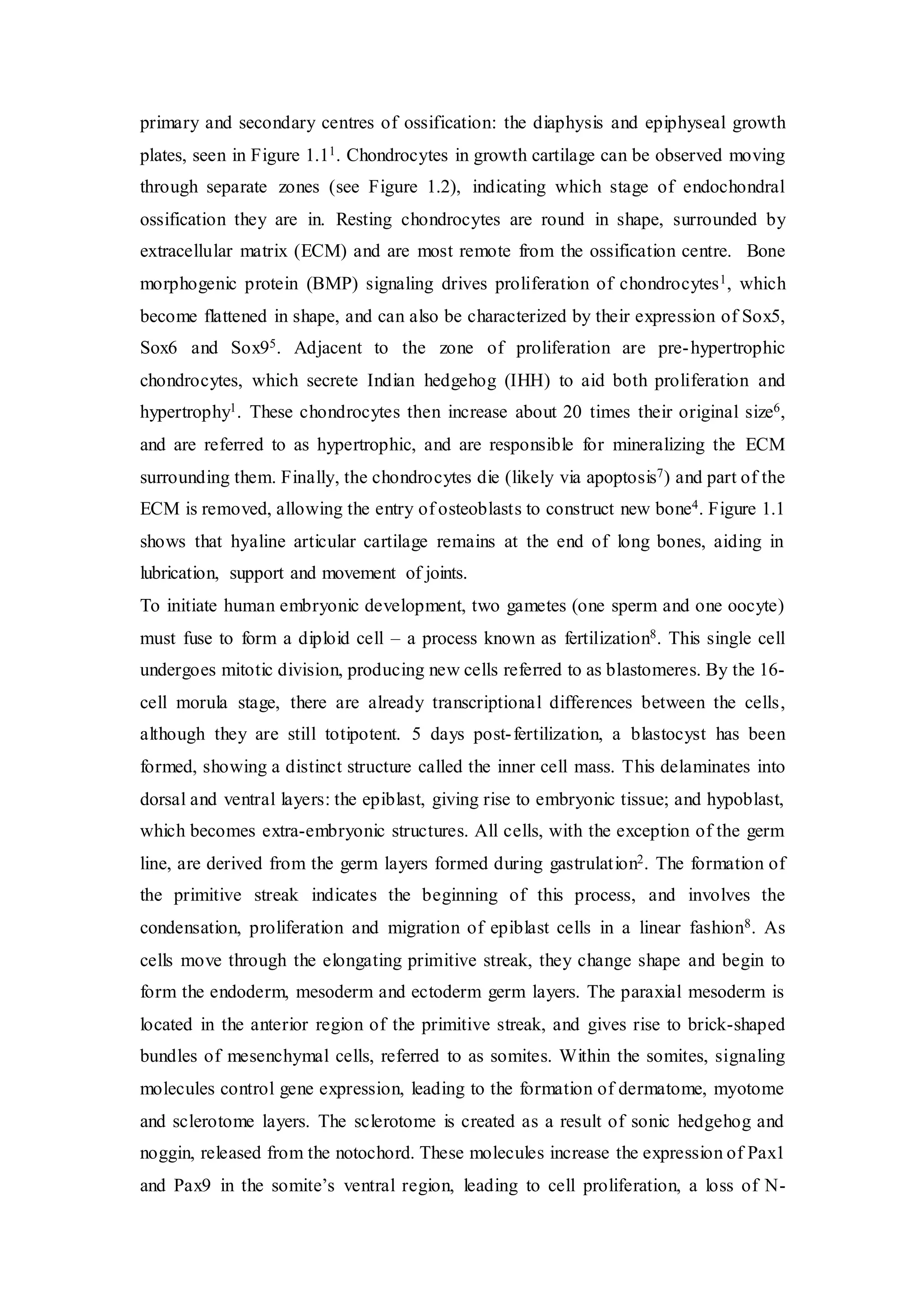 Chondrocyte Cell Profile Report | DOCX