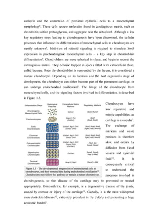 Chondrocyte Cell Profile Report | DOCX