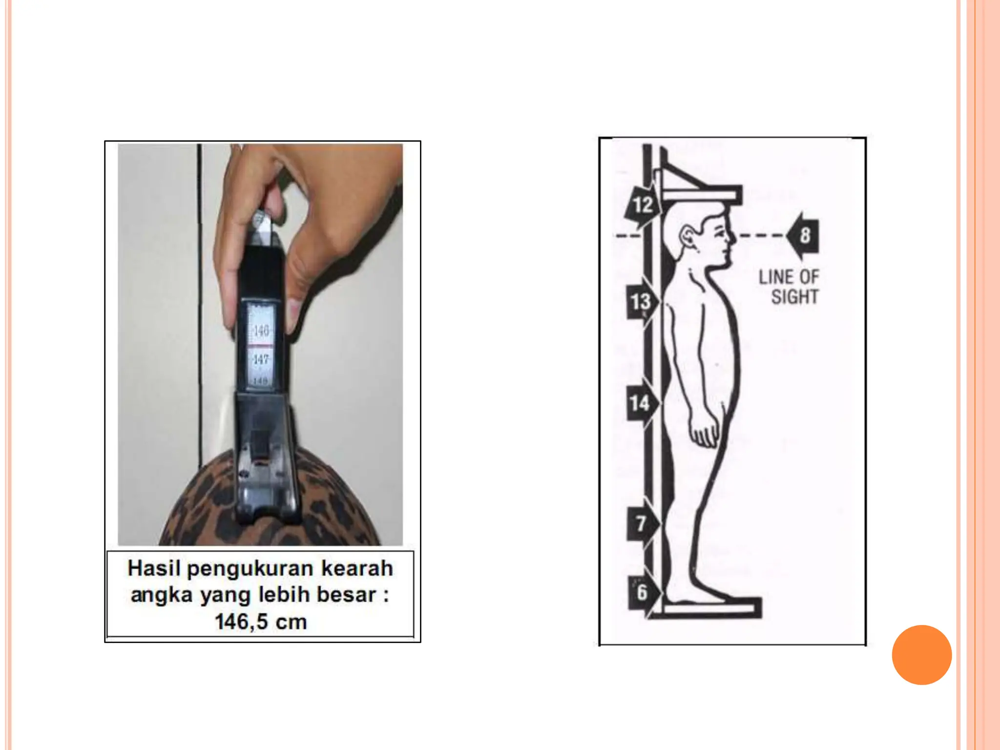 Antropometri Pengukuran balita di posyandu | PPTX