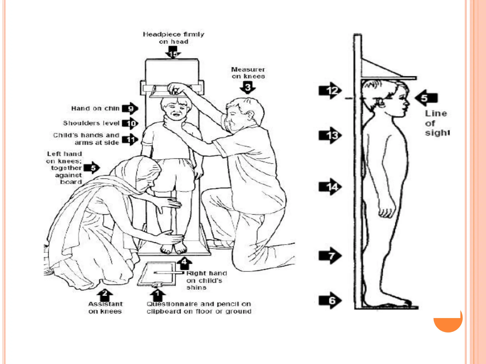 Antropometri Pengukuran balita di posyandu | PPTX