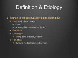 141584757-Burns-Presentation.pptx