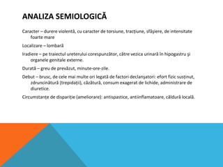 141587248 nefrologie-urologie | PPT
