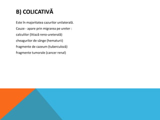 141587248 nefrologie-urologie | PPT