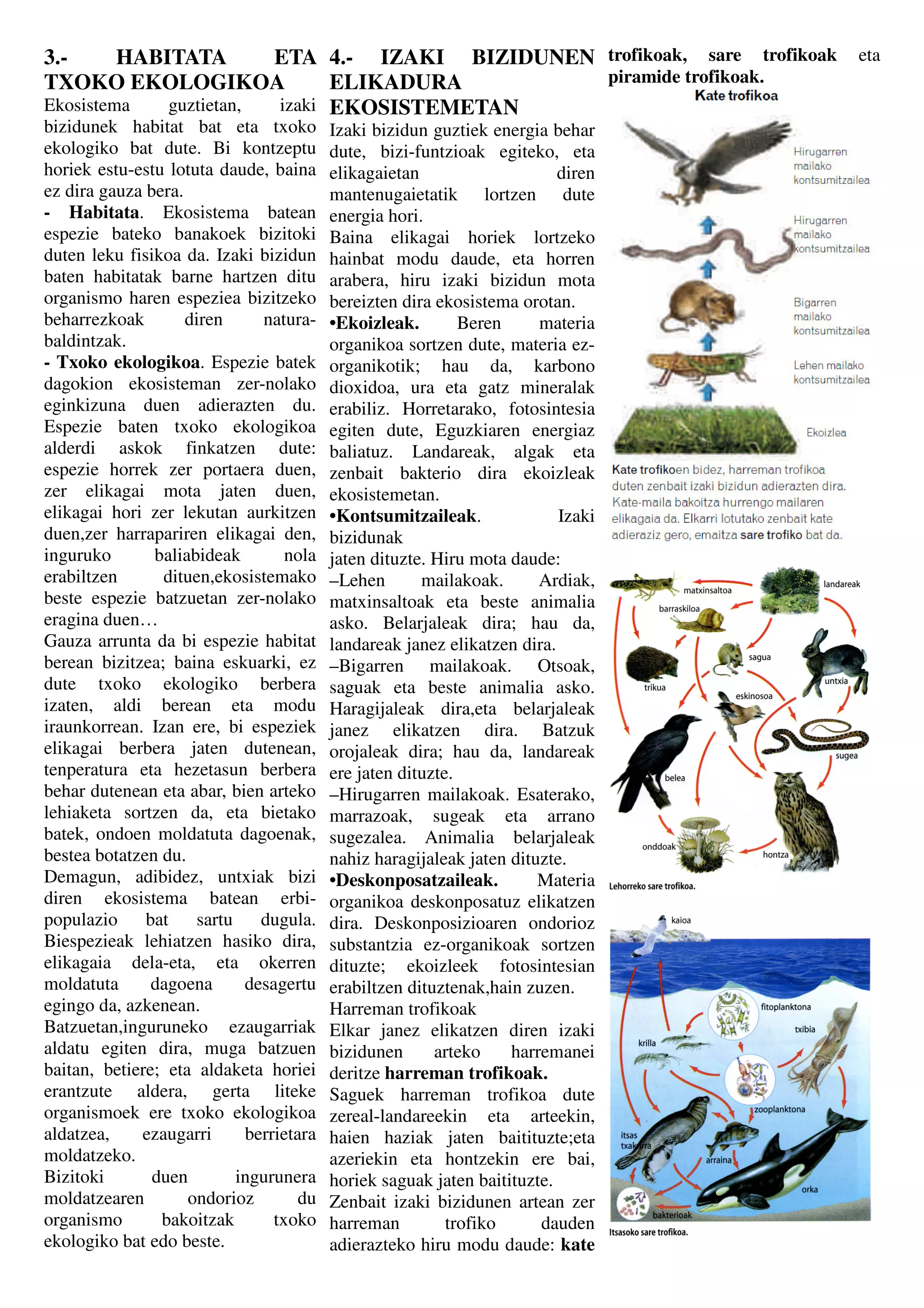 1415 dbh2 03 ekosistemak01 | PDF