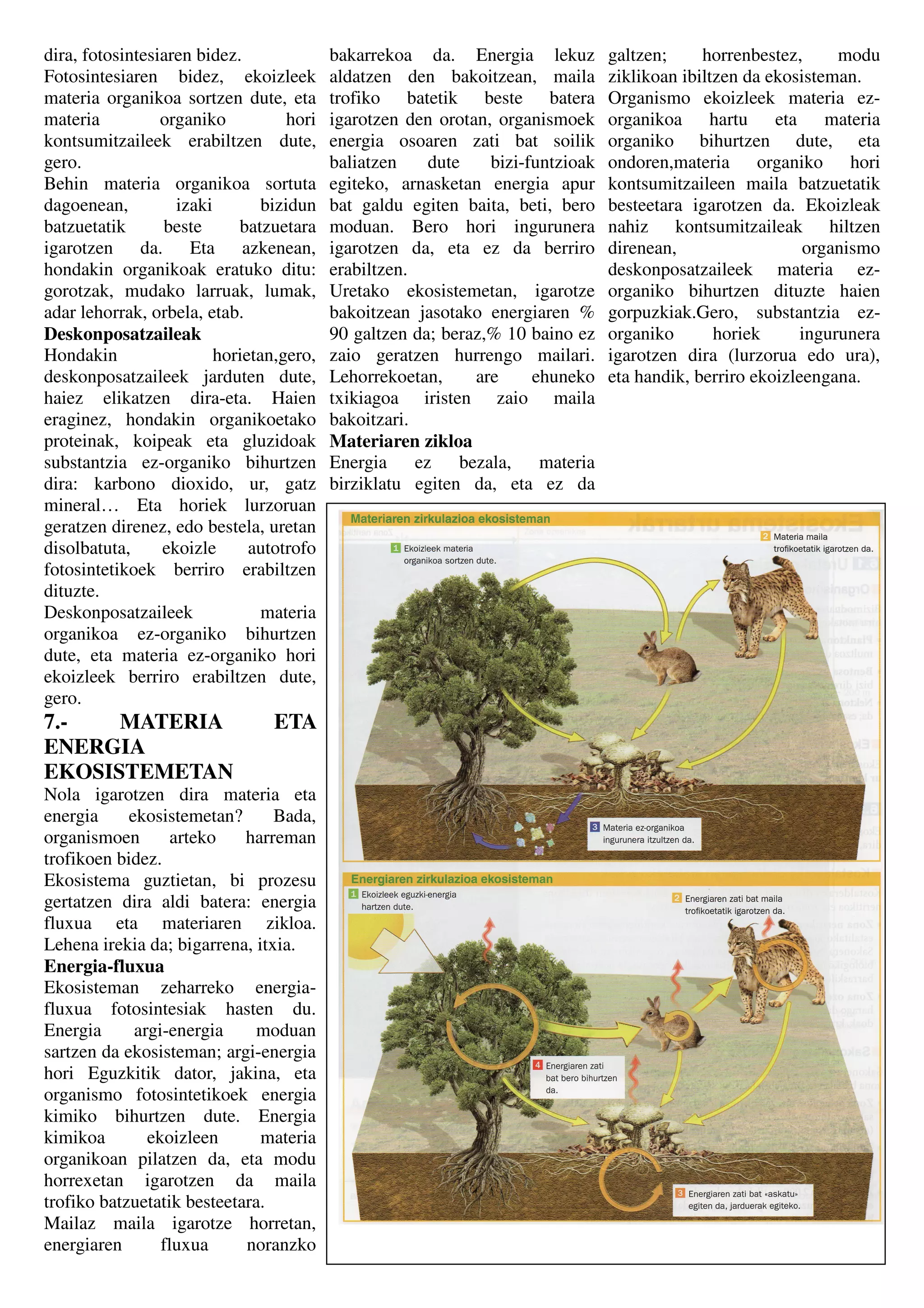 1415 dbh2 03 ekosistemak02 | PDF