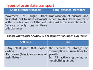 14 & 15 translocation of assimilates.pptx