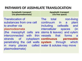 14 & 15 translocation of assimilates.pptx