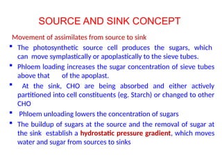 14 & 15 translocation of assimilates.pptx