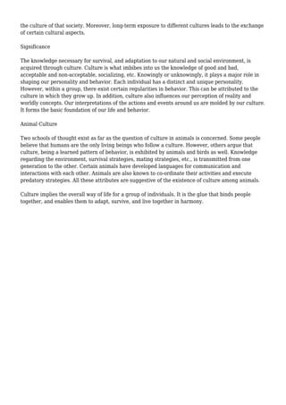 What is Culture? | PDF