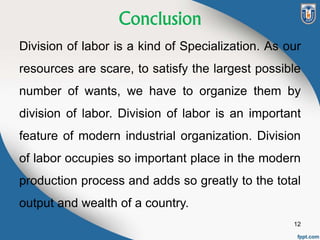Division of Labor | PPTX