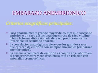 Embarazo Anembriónico | PPT