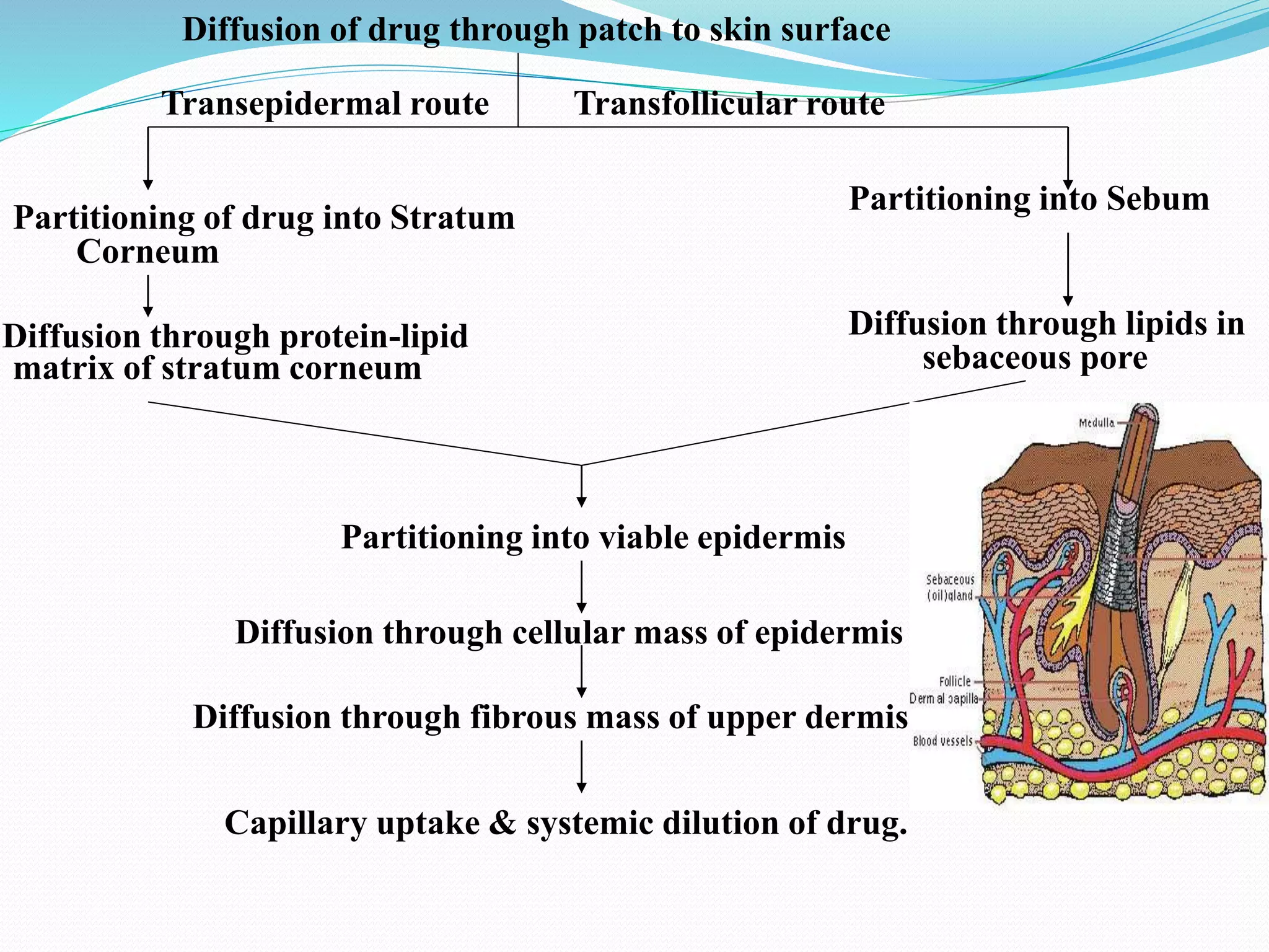 Transdermal drug delivery system by Kailash Vilegave | PPT