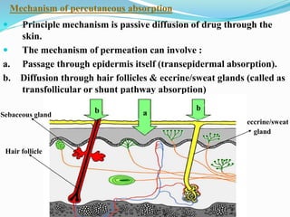 Transdermal drug delivery system by Kailash Vilegave | PPSX