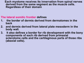 lecture about muscle system in human.ppt