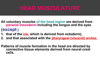 lecture about muscle system in human.ppt