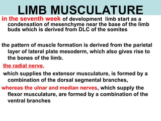 lecture about muscle system in human.ppt