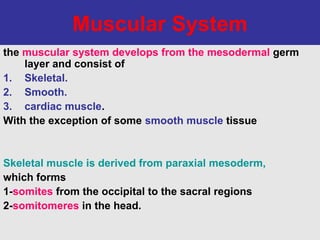 lecture about muscle system in human.ppt