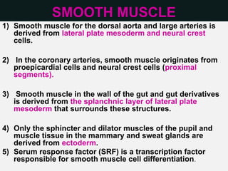 lecture about muscle system in human.ppt