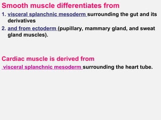 lecture about muscle system in human.ppt