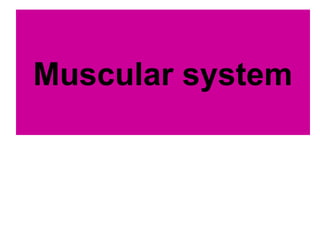 1_41963844821581863 muscular system .ppt | Biological Sciences | Science