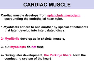 1_41963844821581863 muscular system .ppt | Biological Sciences | Science